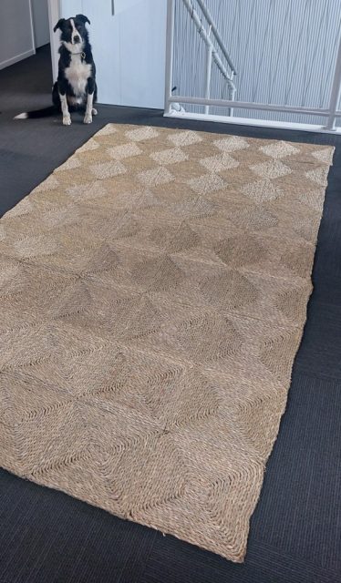 Seagrass Matting - Tiles, Rugs, and Squares